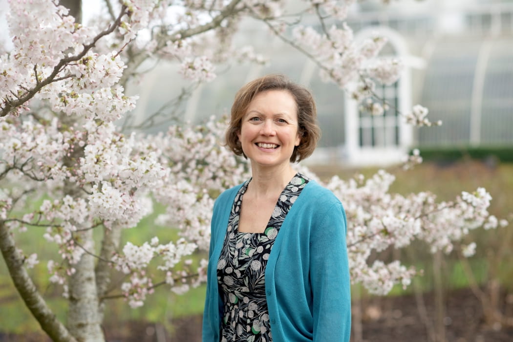 Biodiversity, bluebells, and blossoming teams: leading legal at Kew ...