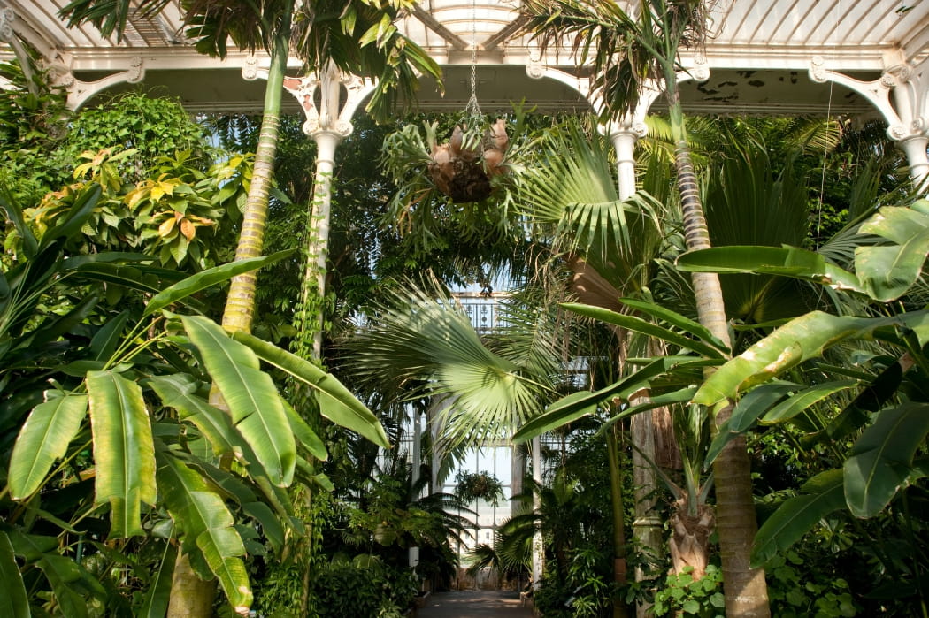 Biodiversity, bluebells, and blossoming teams: leading legal at Kew ...